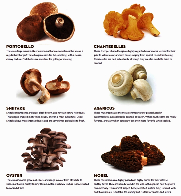 Helpdesk Mushroom: Types of Mushroom