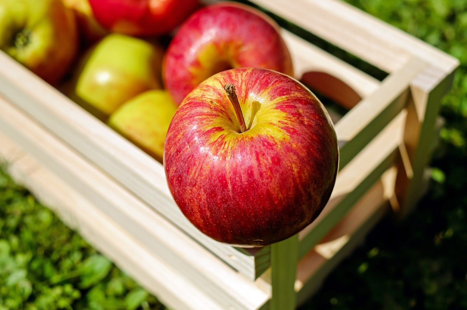 5 Apple Health Benefits: Why You Should Eat Apple Fruit?