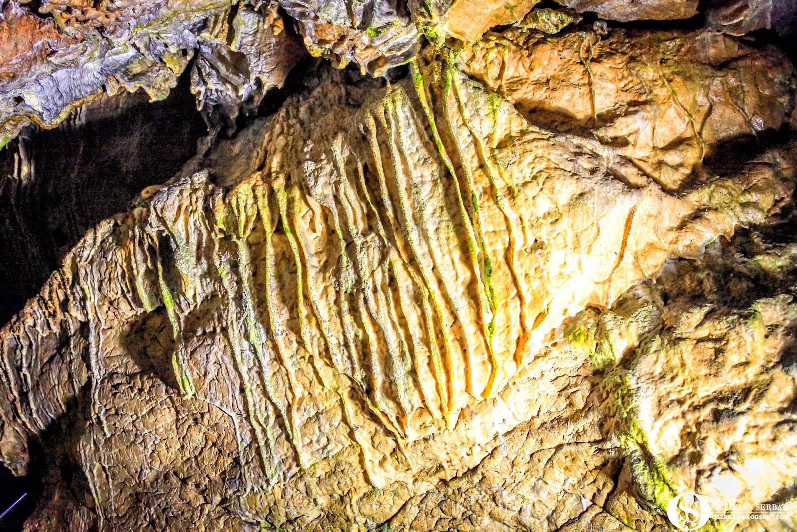 Octavian Serban: In and out to Ialomicioara Cave...