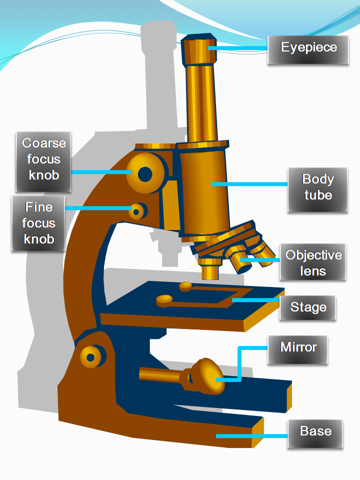 you are here because of science: CHAPTER 2: Cell as a Unit of Life