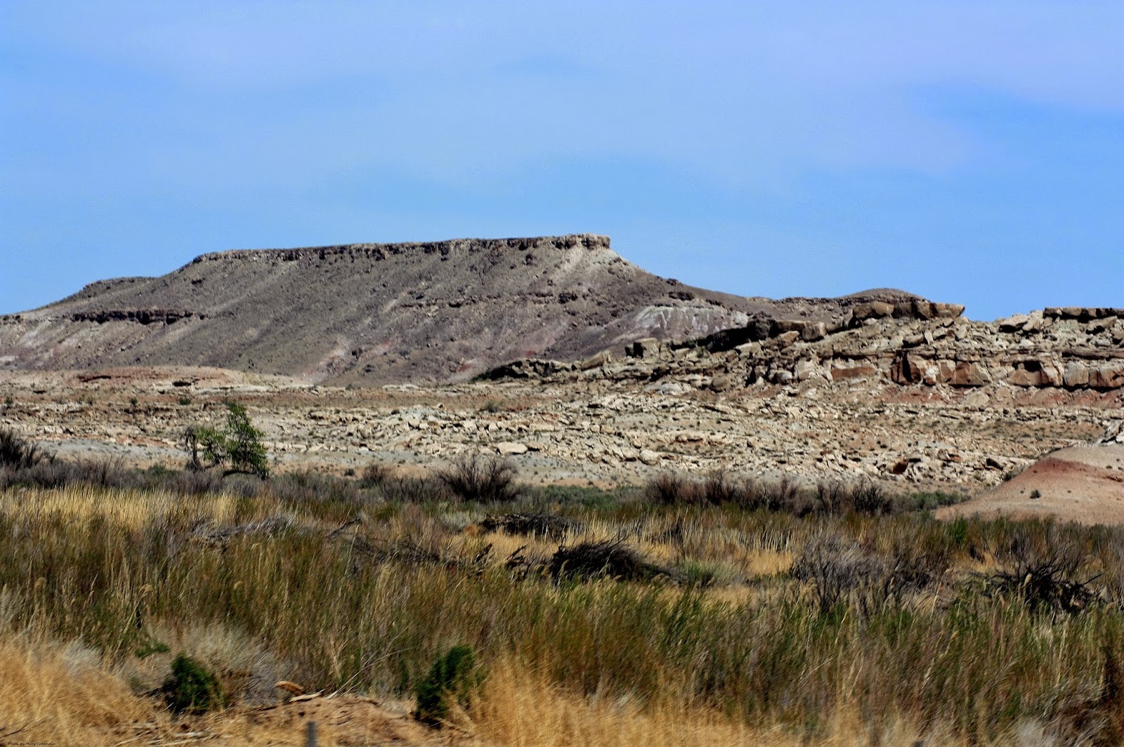 The Southwest Through Wide Brown Eyes: Oh Swell, the San Rafael Reef.