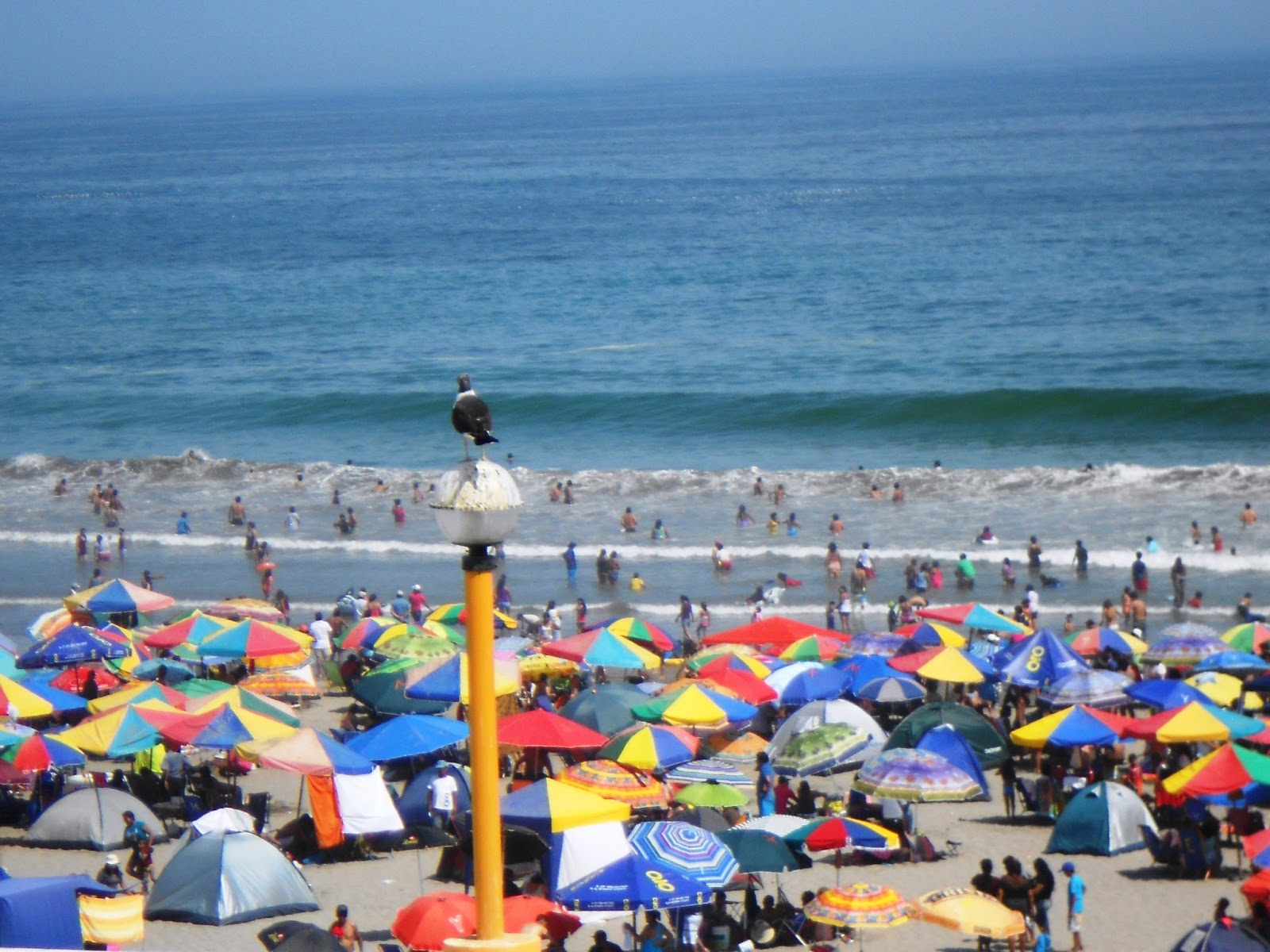 MOQUEGUA TURISMO: PLAYA POZO DE LISAS, PUERTO DE ILO, MOQUEGUA