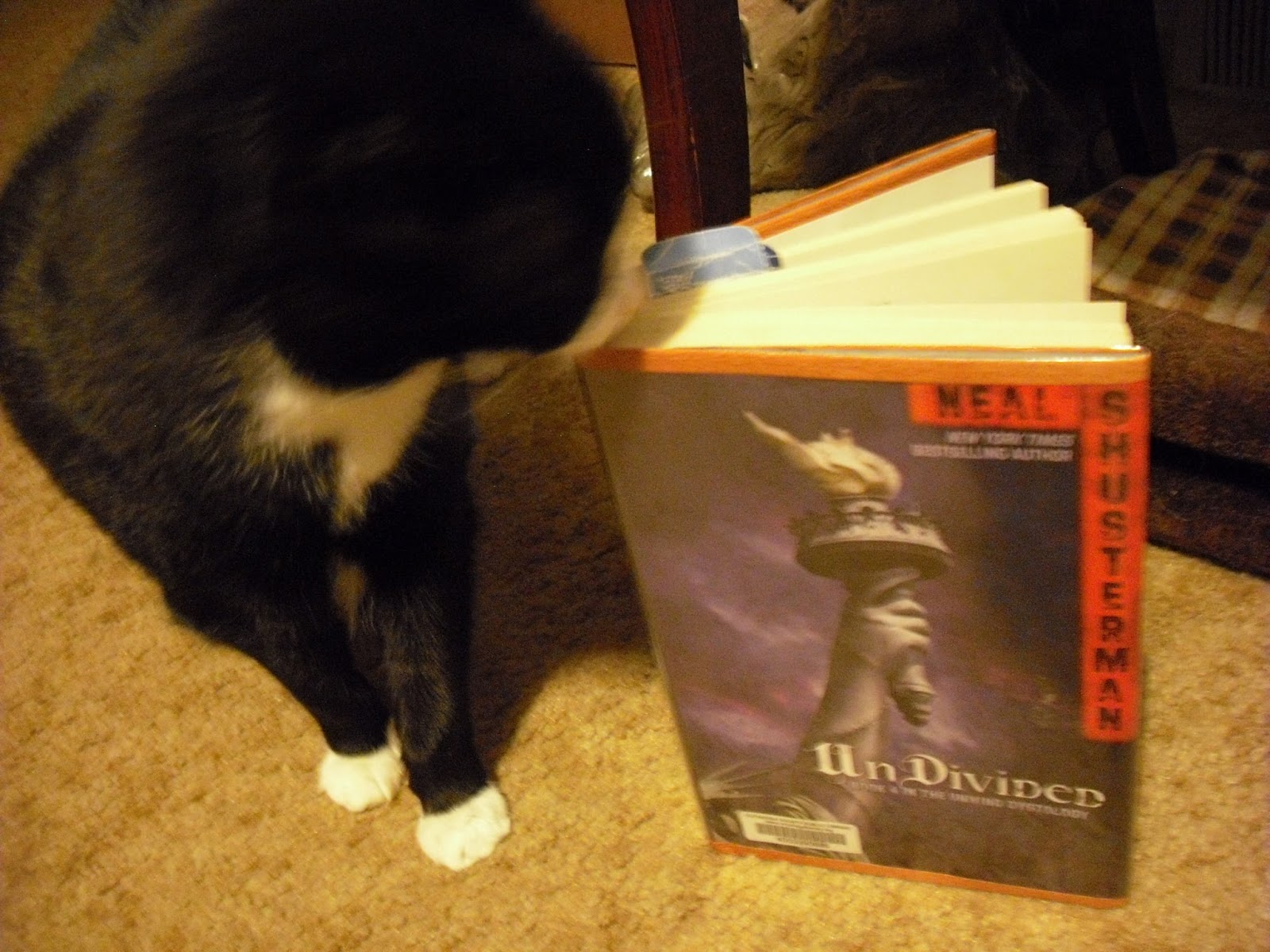 Grab A Book From Our Stack: "Undivided" by Neal Shusterman (4th Book of ...