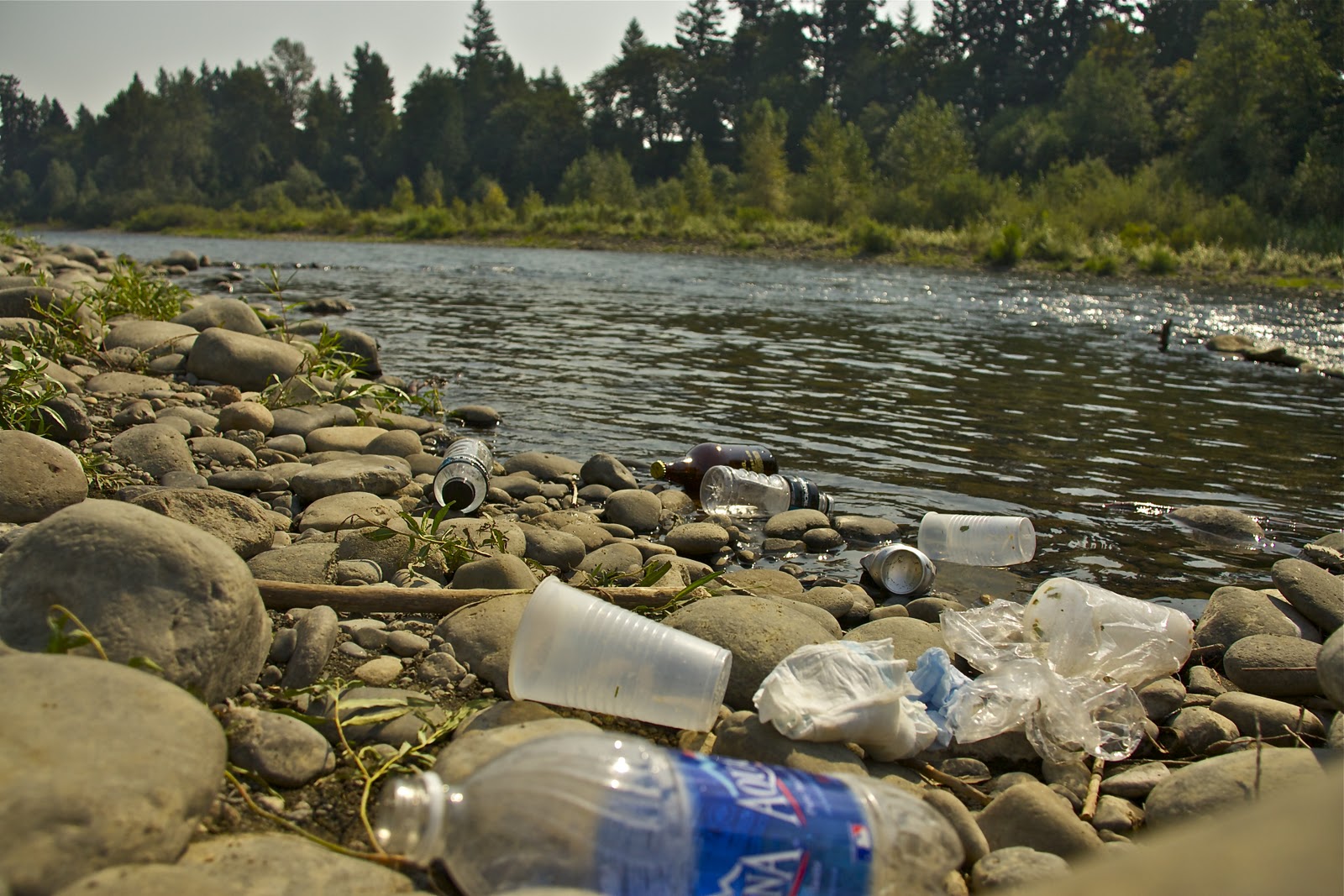 Boat with Paul: Getting Trashed on the River...AGAIN