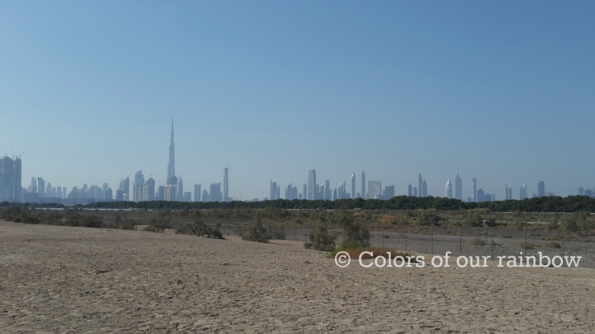 Colors of our Rainbow: RAS AL KHOR WILD LIFE SANCTUARY & ZABEEL PALACE ...