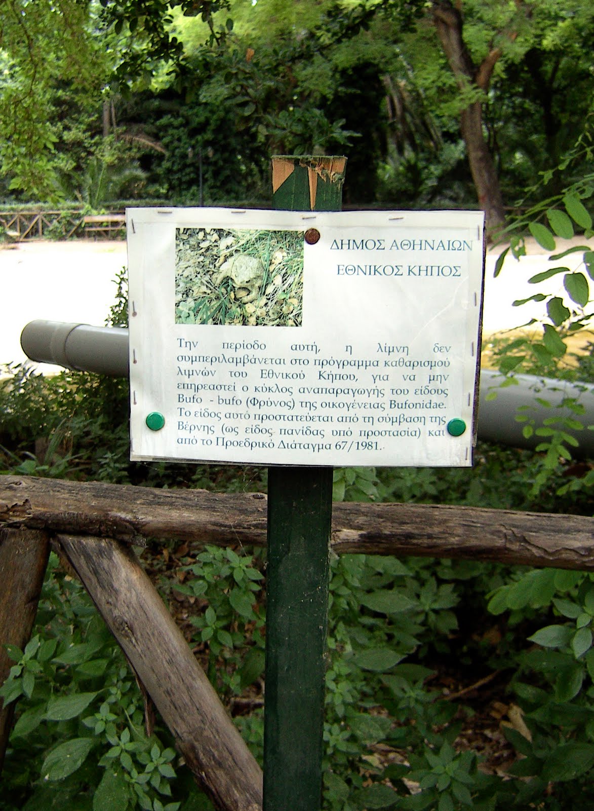 jan1448: Εθνικος Κηπος, η λιμνη κοντα στην πυλη της λεωφορου βασιλισης ...