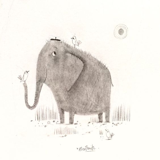 the art room plant: Alex T Smith