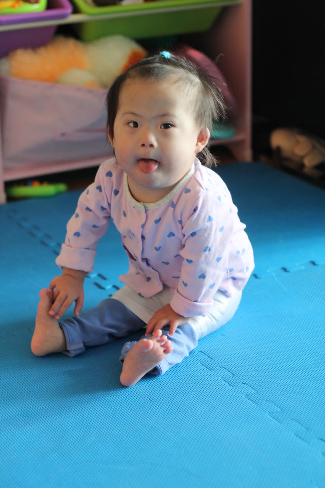 NDNorth: Pure Cuteness | New Day Charities NDNorth: Pure Cuteness | New Day Charities