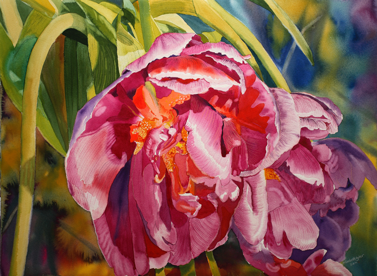Artist Elizabeth Tyler: Parrot tulips