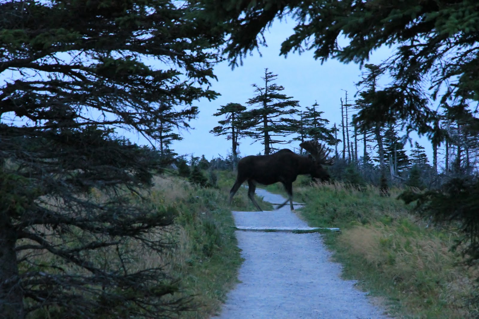 Greggle Goes West: You’ve Already Won Me Over, In Spite of Me