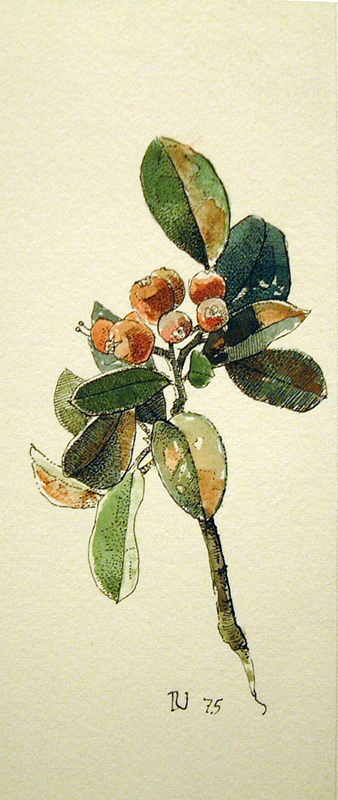 Galeria Mar Dulce: Vidente Natural de Isol +COLECTIVA16