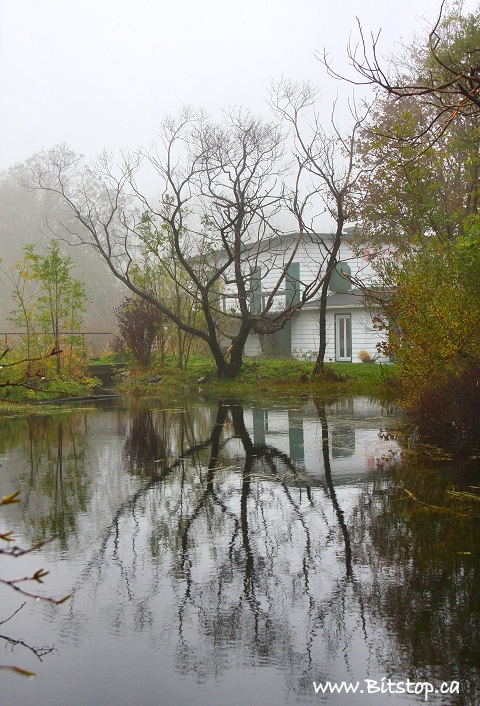 Bitstop: Mt. Scio Road