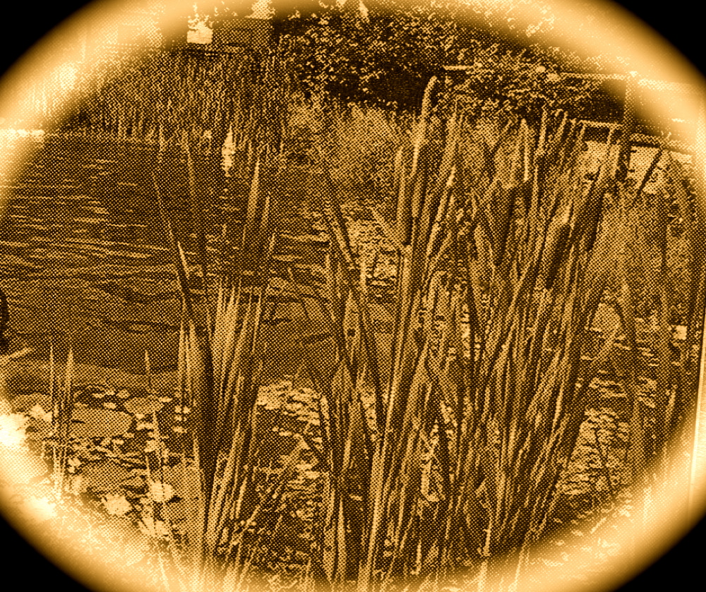 ge rettet Das Hindenburgufer? Strandweg Kiel