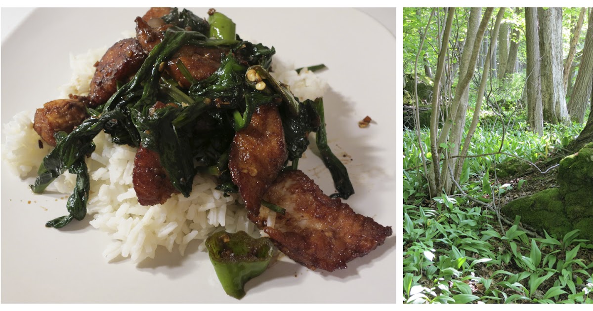 The Foraged Foodie: Spicy Black Bean Fish with Foraged Ramps Recipe