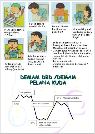 Musim Hujan Datang; WASPADA DBD (Demam Berdarah Dengue) - Pena Opini