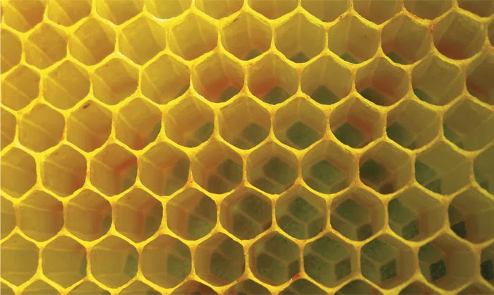 PČELARSKI ŽURNAL: ZAMENITE STARO SAĆE! Evo i zbog čega…