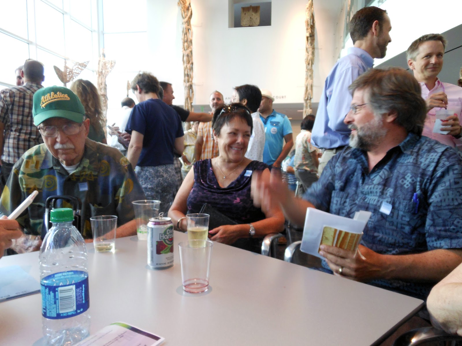 Medusa's Kitchen: Dioramas and Dreams