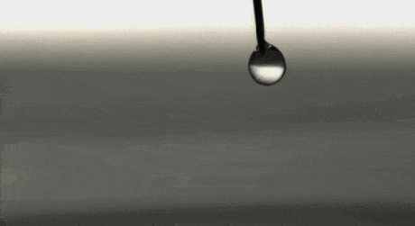 Ciencia en GiF: La tensión superficial