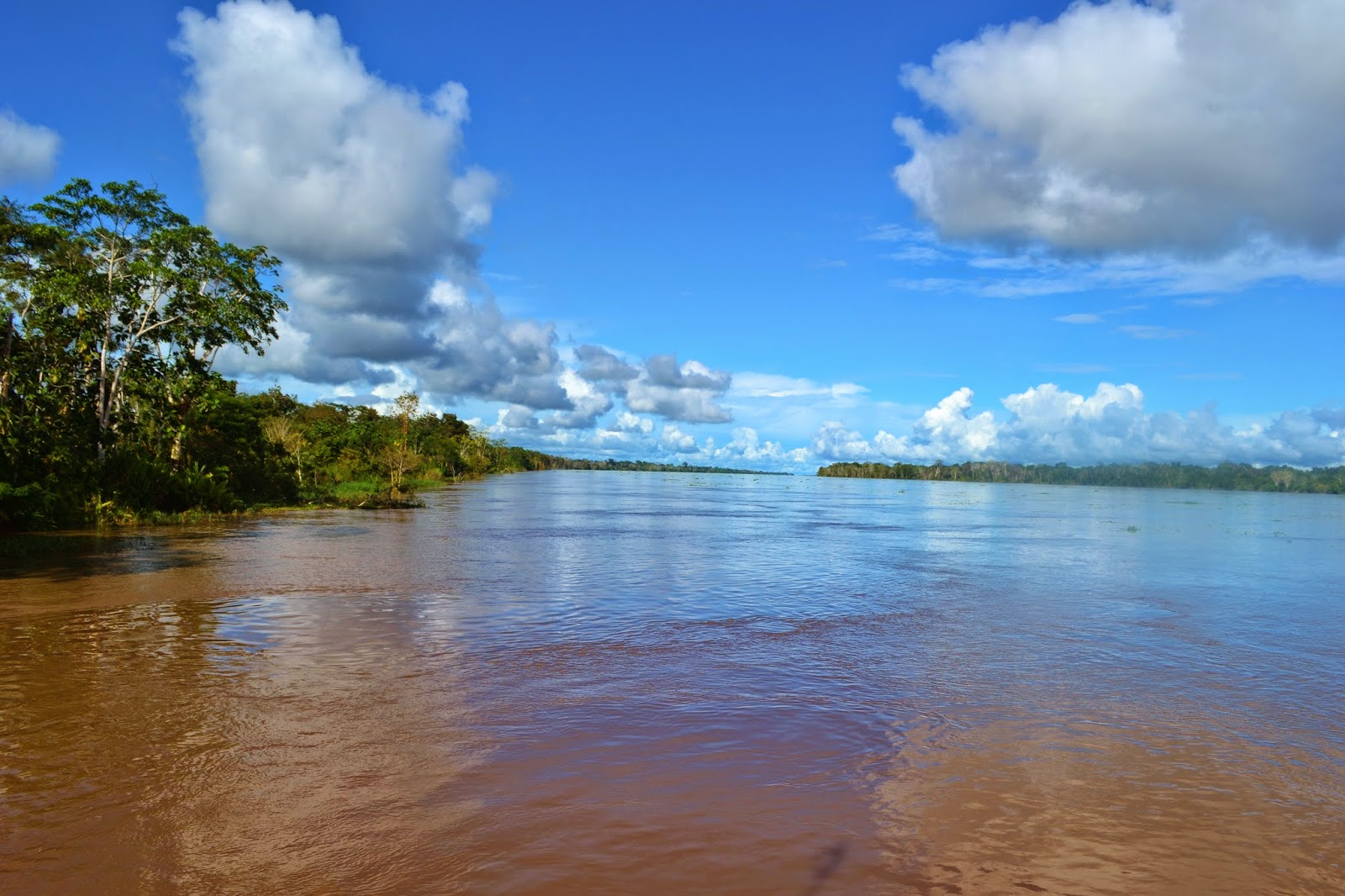 ¡Viva Venezuela!: Forelsket i Amazonas, Peru!