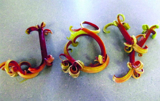 Specialty Papers, Paper Yarn, Paper Toys, and Paper Jewelry