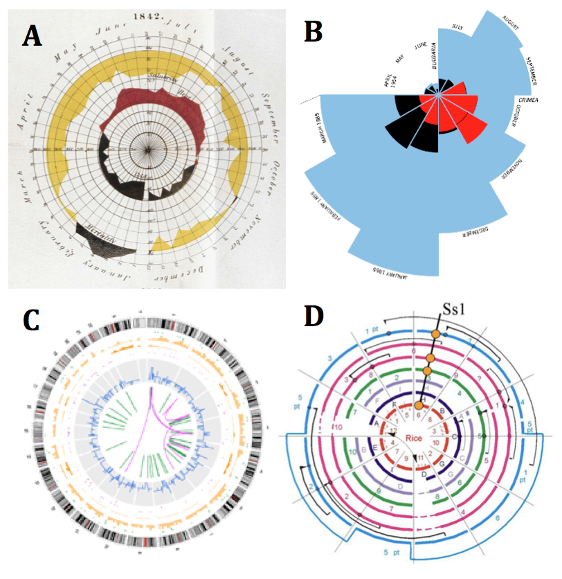 Guess which one's the Circos plot - Enseqlopedia
