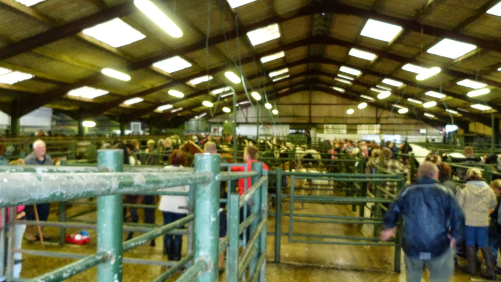 people4ponies blog: Hallworthy Market