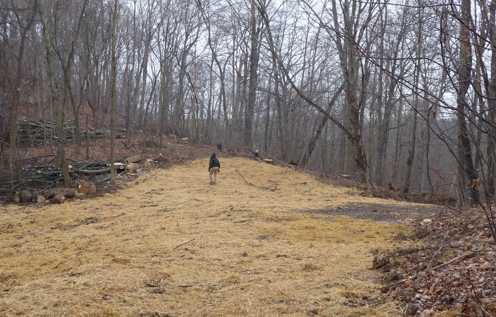 Wild Rose Farm: January 2016