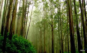 Sharmalan Thevar: The 5 Landscapes of Tamilakam