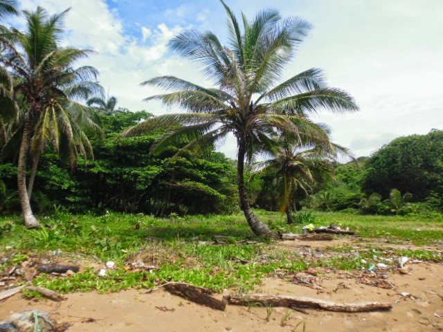 World Calling: Trip to the Devil's Beach