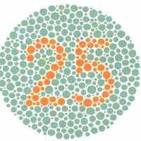 Tes Buta Warna ~ Republik Leuweungtiis