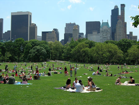 Espacio Público: CENTRAL PARK