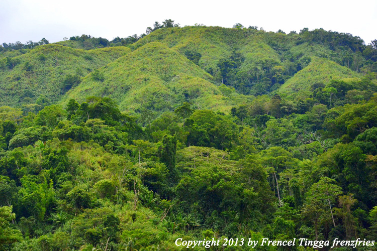 Frenz Fries: Into the Wilderness: Paracelis, Natonin, Barlig