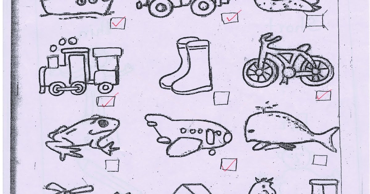 JR KG Exam Paper G.K