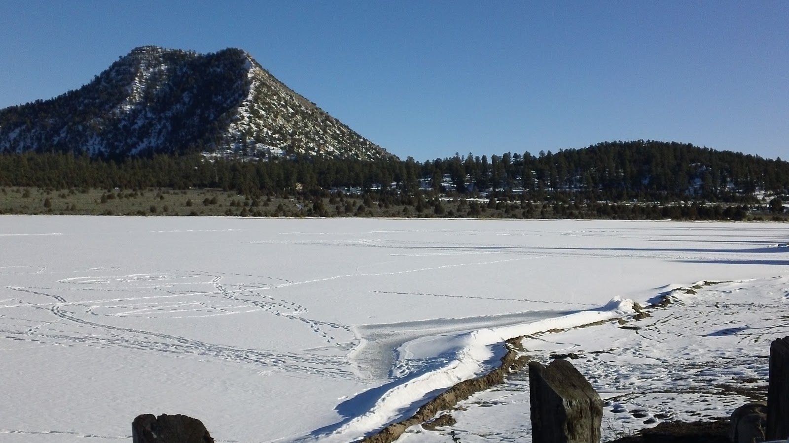 Out here in Pinon: Lake Wheatfield