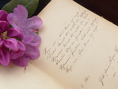 Readingtheculture: Basic concepts of poetry.