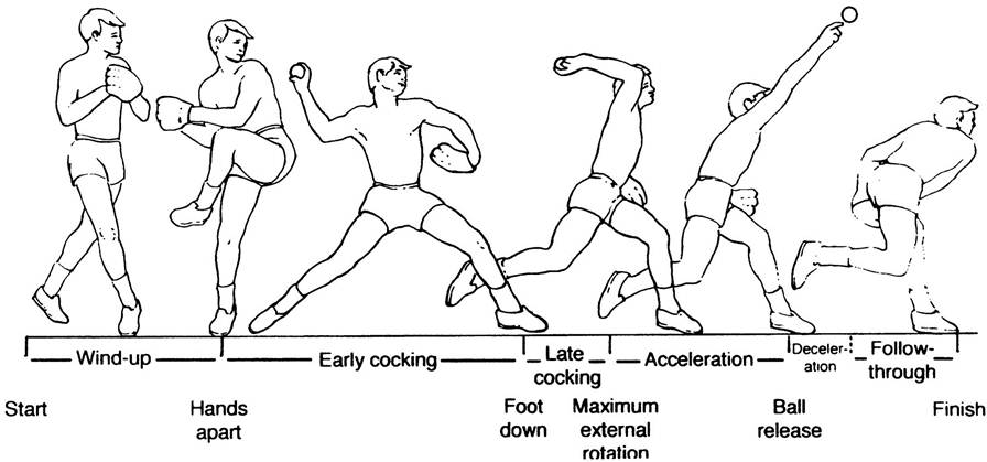 Notes From Two Scientific Psychologists The Task Dynamics Of Throwing