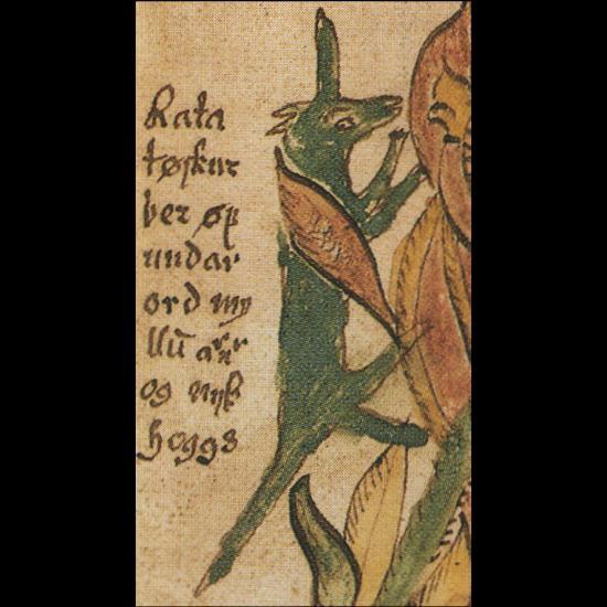 The News For Squirrels: Ratatoskr, Squirrel From Norse Mythology