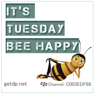 CLOSED: Win $25 Cash Every Week in NoLuck's DEC Buzz Contest (Page 11)