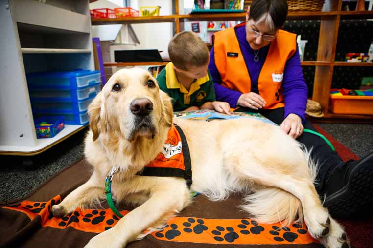 Story Dogs Program Improves Literacy | Australian Dog Lover