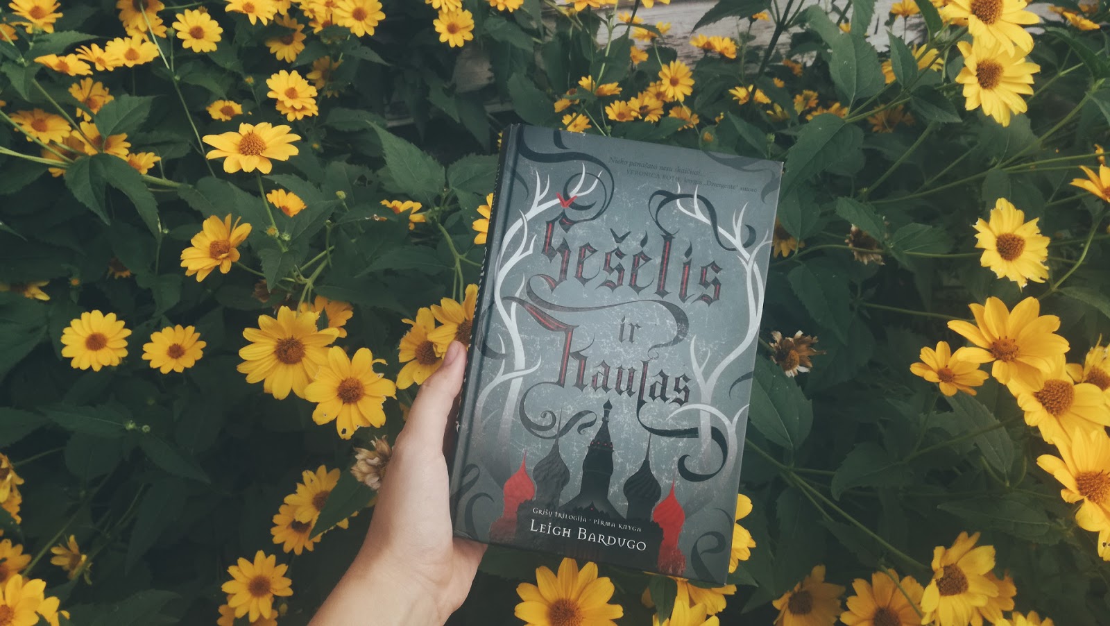 LEIGH BARDUGO „ŠEŠĖLIS IR KAULAS“