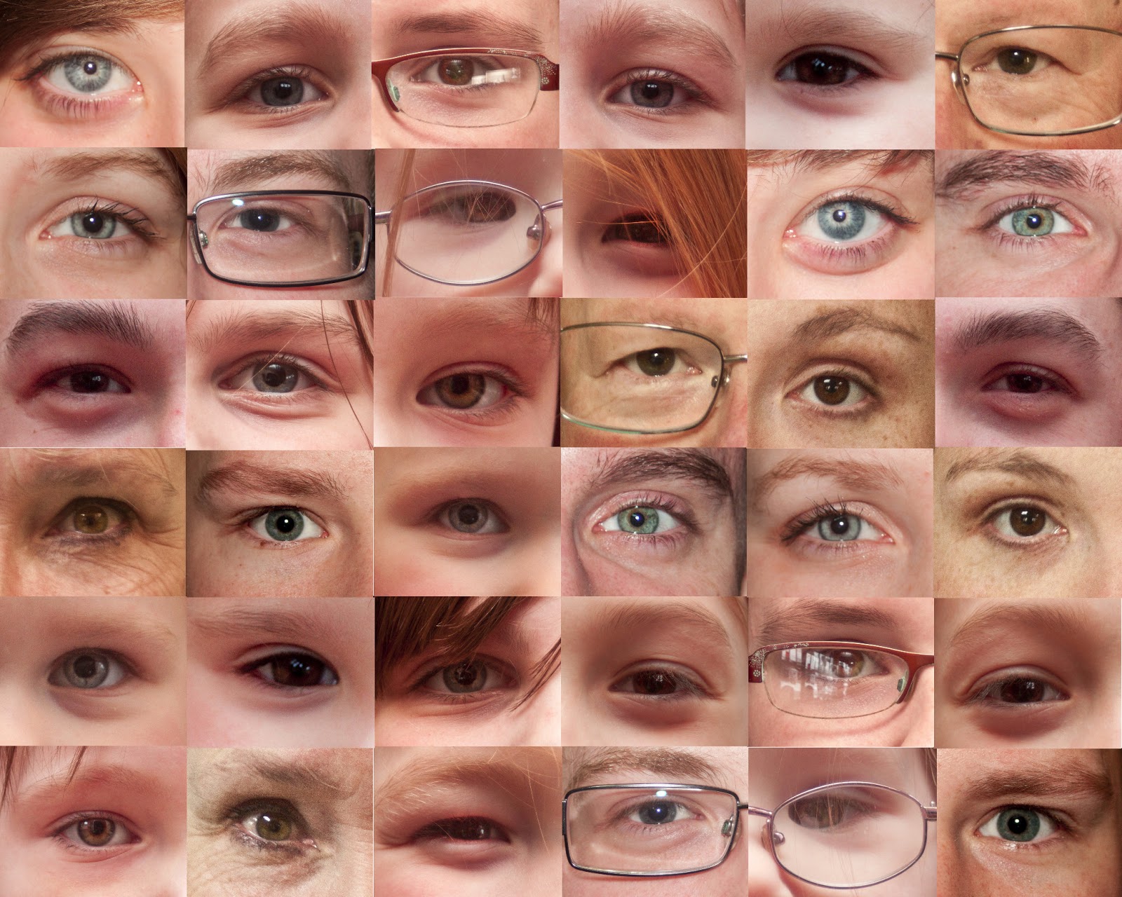 Archipelago: A Typology of Eyes