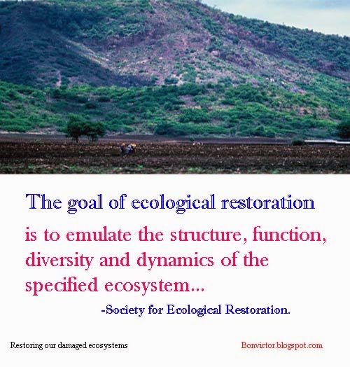 bonvictor.blogspot.com: Restoring our damaged ecosystems