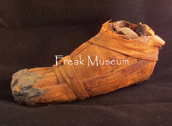Freak Museum A Private Collection: Man is...