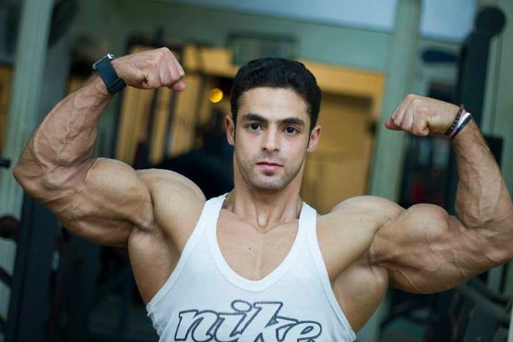 Daily Bodybuilding Motivation: Muscle-laneous Aesthetic Bodybuilders