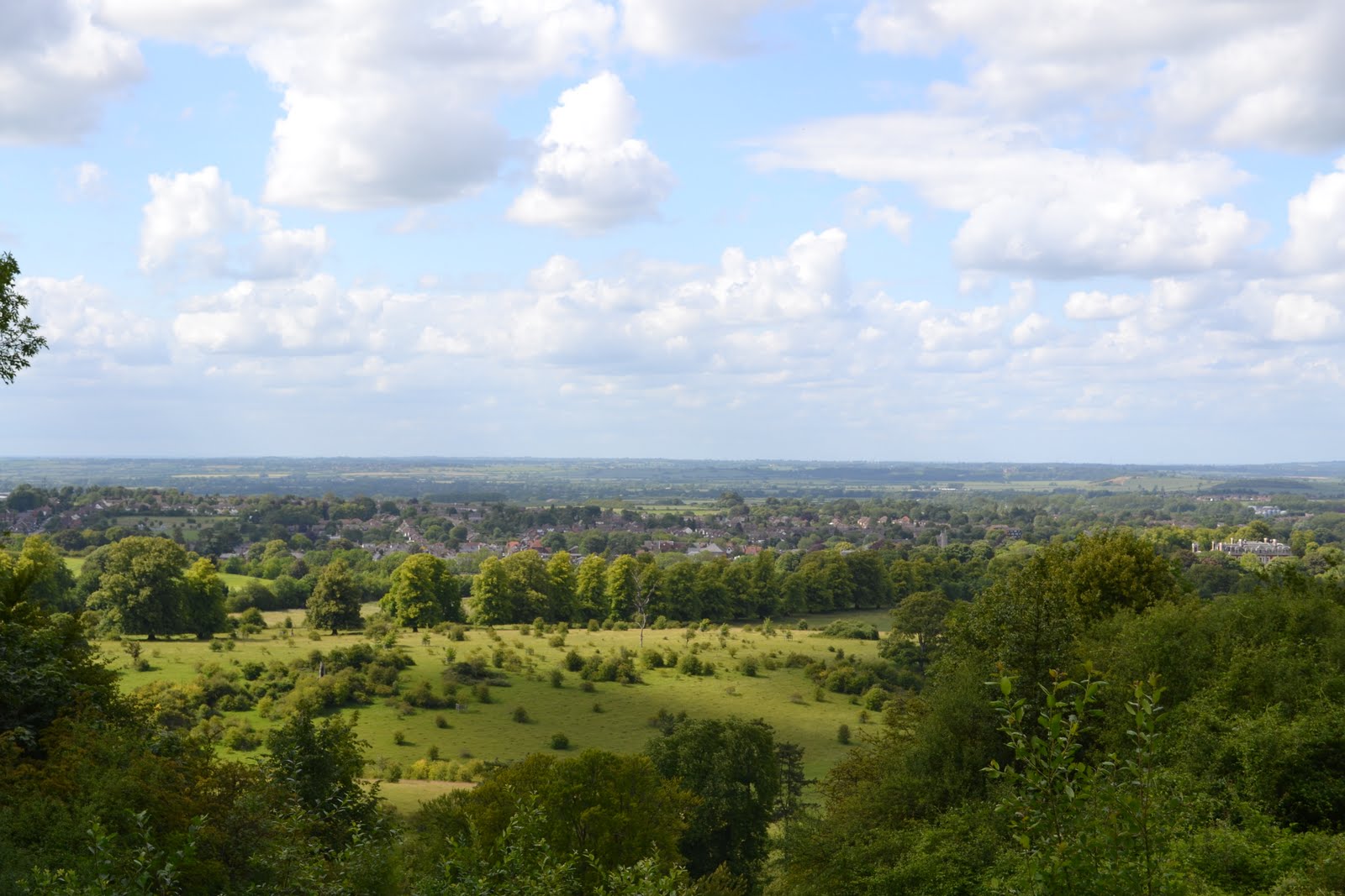Walks among Flowers: Buckinghamshire: Wendover Woods to Tring (N ...