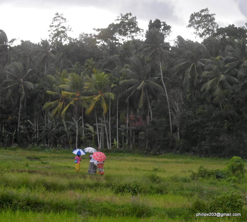 Images of Sri Lanka on blogspot.com: On the Amithirigala to Urapola ...