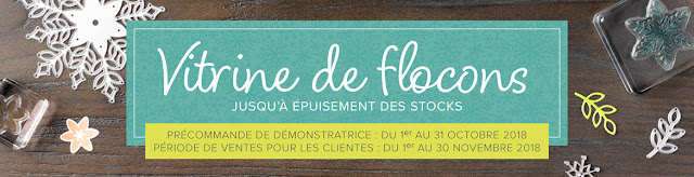 Inspiration Scrapfolie: Le lot Vitrine de flocons et la technique de ...