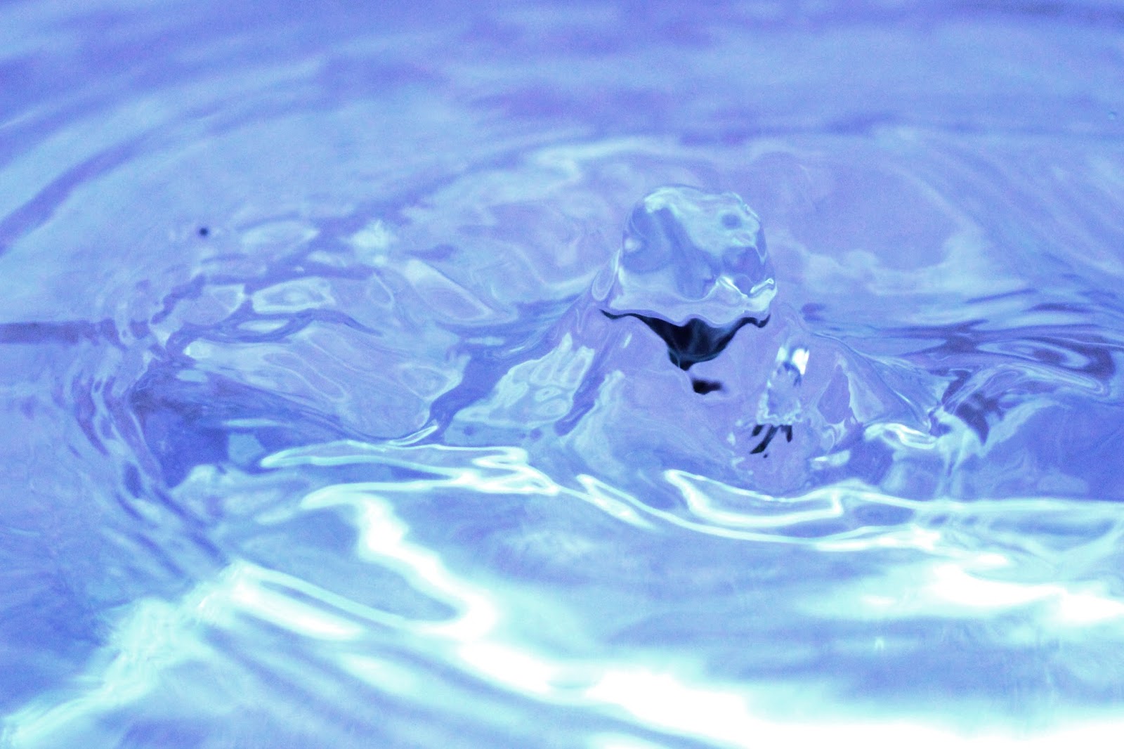 Unit 1 Photography: Fast Shutter Speed