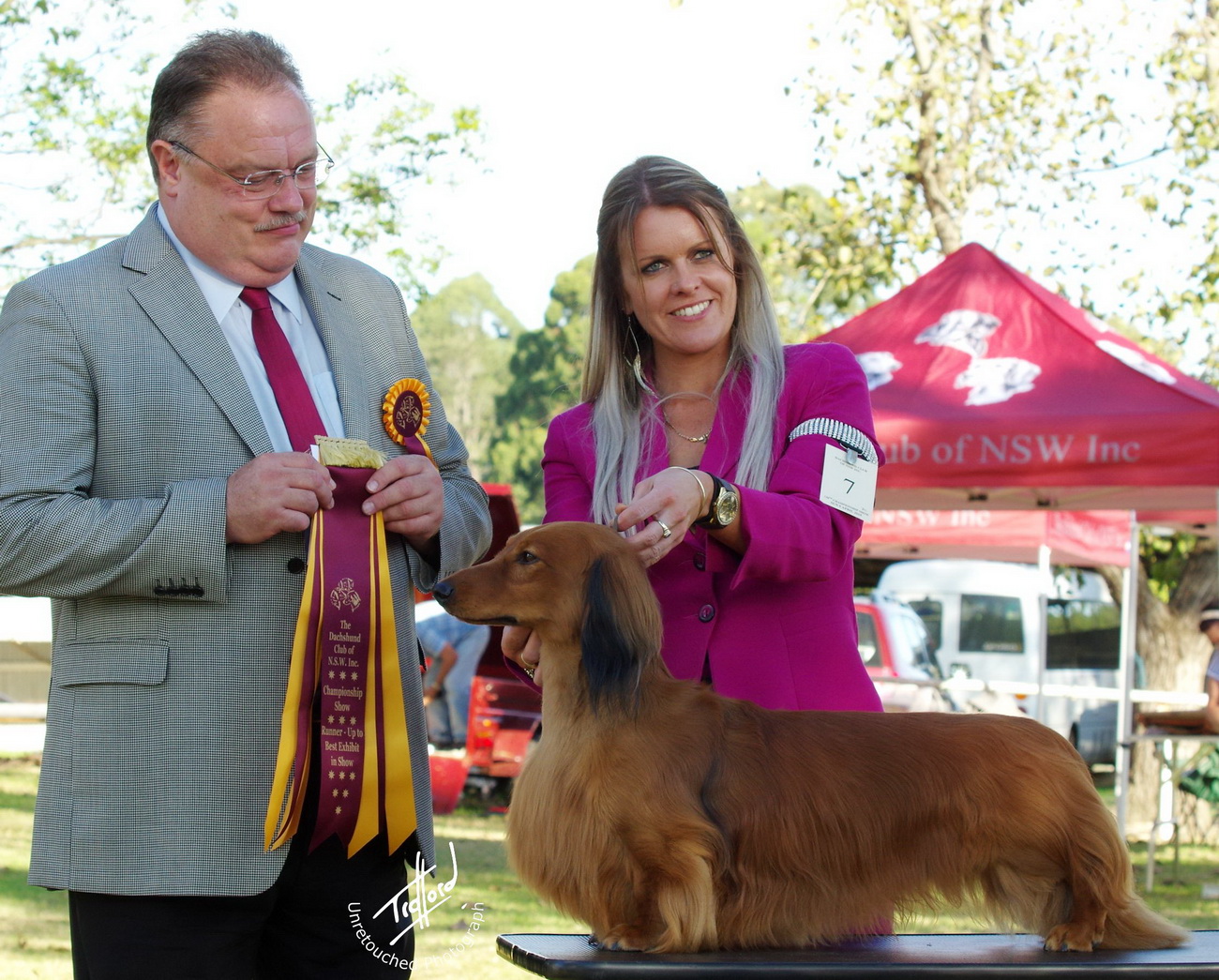 TraffordPhotos - Australian Dog Show Photos: DACHSHUND CLUB OF NSW 5th ...