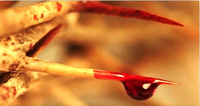 Mystics of the Church: Jesus blood type